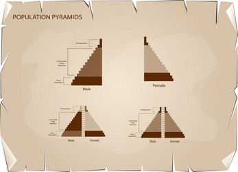 2021-2025 population pyramids graphs with 5 genera