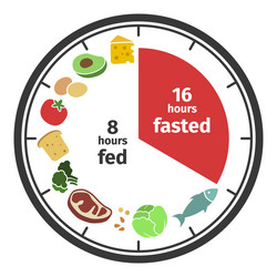 Scheme and concept of intermittent fasting clock Vector Image