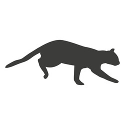 Cat Running Vector Images (over 2,800)