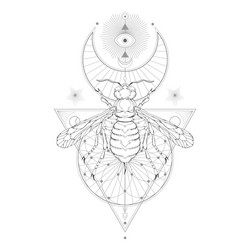 Bee Sacred Geometry Vector Images (98)