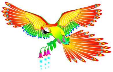 Lory parrot Royalty Free Vector Image - VectorStock