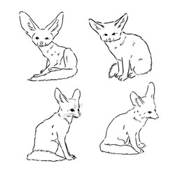 Fenek Vector Images (55)