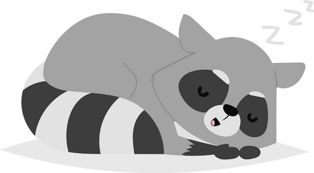 Funny raccoon Royalty Free Vector Image - VectorStock