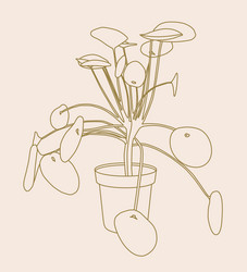 White knight philodendron house plant line art Vector Image