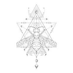 Bee Sacred Geometry Vector Images (98)