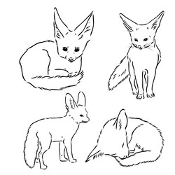 Fenek Vector Images (55)