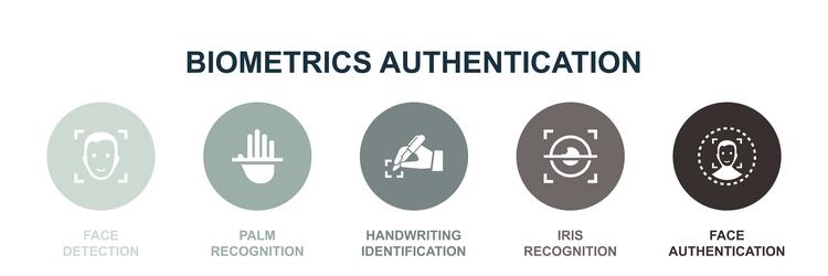 Face Detection Palm Recognition Handwriting Vector Image