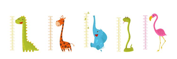 Height chart for kids with funny animals Vector Image