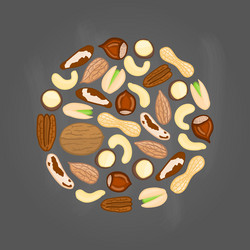 Peanuts in Shell Vector Images (over 2,100)