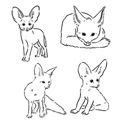 Fenek Vector Images (55)