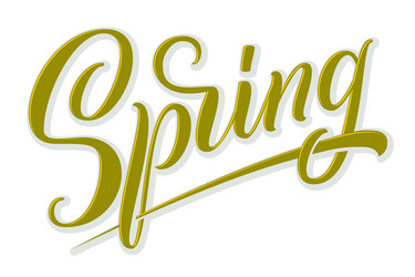 Hand drawn lettering spring with shdow Royalty Free Vector