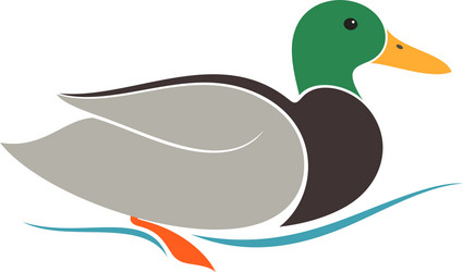 Duck Vector Images (over 50,000)
