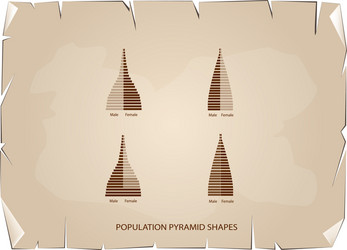 4 types of population pyramids graphs Royalty Free Vector