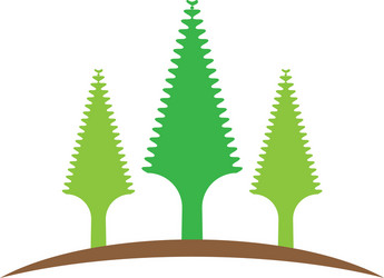 Pine symbol Royalty Free Vector Image - VectorStock