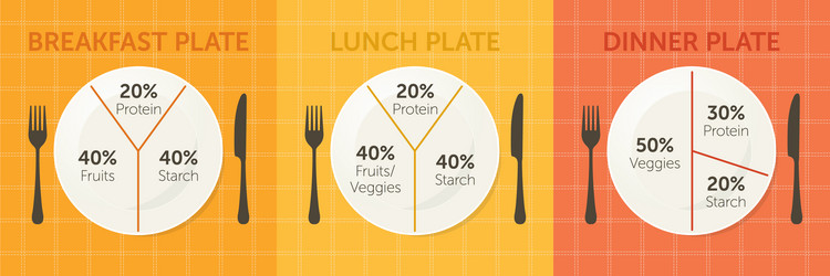 Healthy Eating Plate Diagram Vector Images (over 220)