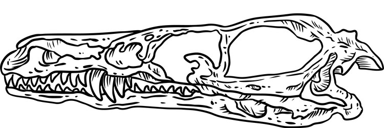 Velociraptor Raptor Vector Images (over 720)