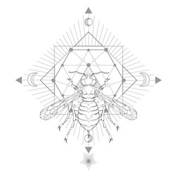 Bee Sacred Geometry Vector Images (98)