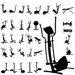 Gym equipment Royalty Free Vector Image - VectorStock