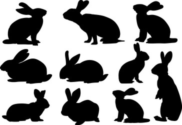 Rabbit black and white using a hand-drawn Vector Image