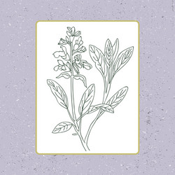 Sage Black and White Vector Images (over 220)