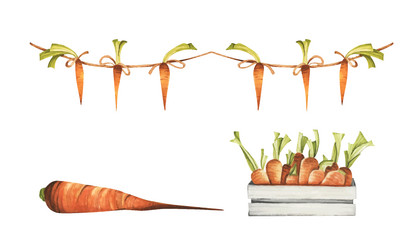 Carrot root vegetable cartoon Royalty Free Vector Image