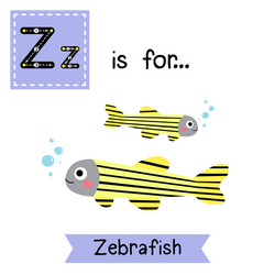 Letter z vocabulary zebrafish Royalty Free Vector Image