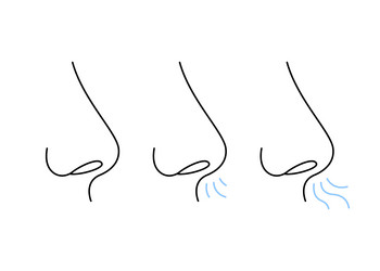 Easy Cartoon Nose Drawing