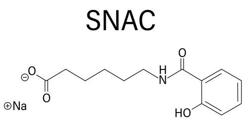 Sodium salcaprozate snac skeletal formula Vector Image