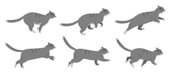 Cat Running Vector Images (over 2,800)