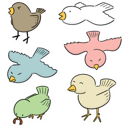 Set bird Royalty Free Vector Image - VectorStock