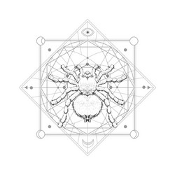 Magic mushrooms sacred geometry Royalty Free Vector Image