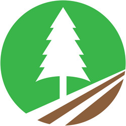 Pine symbol Royalty Free Vector Image - VectorStock