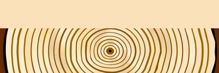 Pale log end Royalty Free Vector Image - VectorStock