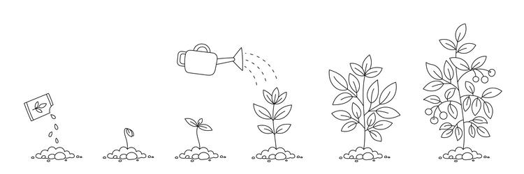 Seedling Vector Images (over 25,000)