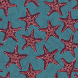 Seamless shell pattern hand drawn seashells Vector Image