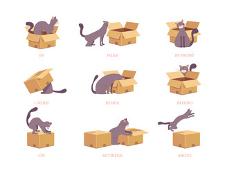 Prepositions of Place - Cat Learning Royalty Free Vector