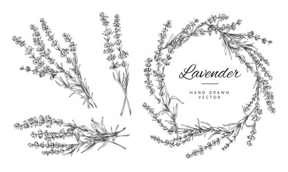 Lavender Outline Vector Images (over 1,600)