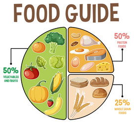 Macronutrient food guide circle of balanced Vector Image