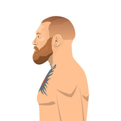Irish Fighter Vector Images (58)