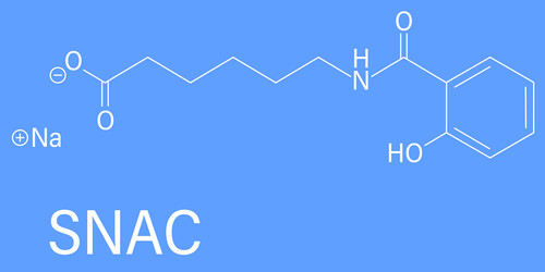 Sodium salcaprozate snac skeletal formula Vector Image