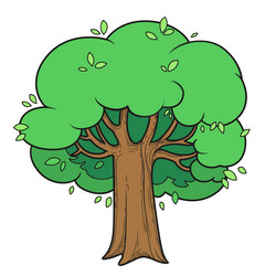 Big simple deciduous tree linear drawing Vector Image