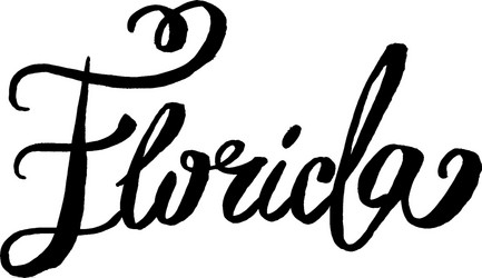 Usa states name phrase brush calligraphy Vector Image
