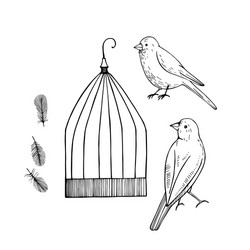 Bird Cage Line Drawing Vector Images (over 620)