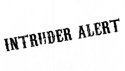 Intruder alert red rubber stamp on white Vector Image