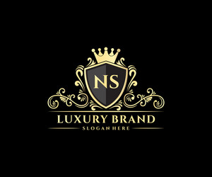 Ns initial letter luxury calligraphic feminine Vector Image