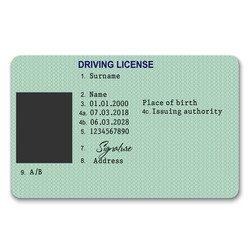 Plastic driver licence Royalty Free Vector Image