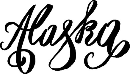 Usa states name phrase brush calligraphy Vector Image