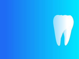 Tooth anatomy Royalty Free Vector Image - VectorStock