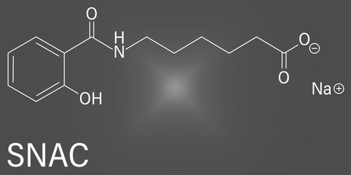 Sodium salcaprozate snac skeletal formula Vector Image