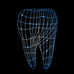 Tooth anatomy Royalty Free Vector Image - VectorStock